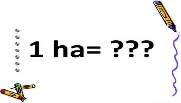 1 ha bằng bao nhiêu m2? Cách quy đổi qua công, sào, mẫu, km2 – Tin tức ...